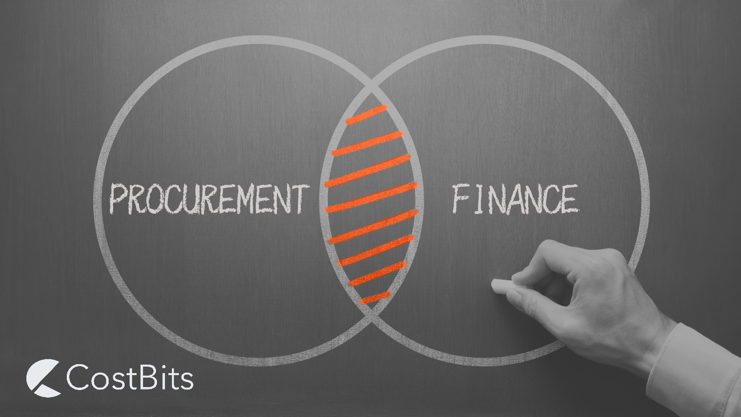 Exploring Differences and Alignments within Procurement and Finance